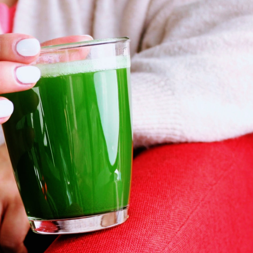 Japanese Matcha | Wabi Matcha NZ